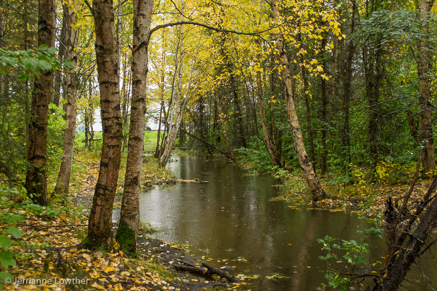 Chanshtnu Muldoon Park – I Love Muldoon