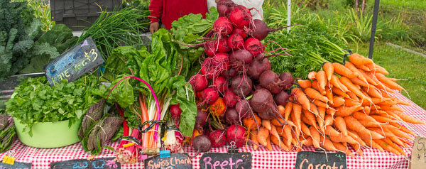 Muldoon Farmers Market Opens June 23 at Chanshtnu Muldoon Park – I Love ...
