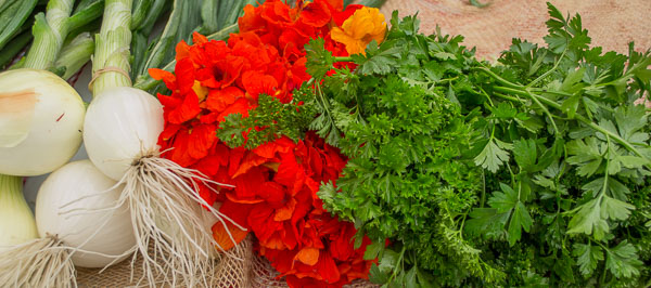 Muldoon Farmers Market Open July 28, Chanshtnu Muldoon Park – I Love ...