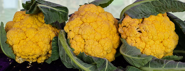 Muldoon Farmers Market Open Aug. 18, Chanshtnu Muldoon Park – I Love ...