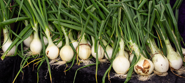 Muldoon Farmers Market Open Sept. 8, Chanshtnu Muldoon Park – I Love ...