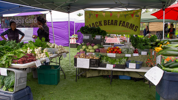 Last Muldoon Farmers Market Sept. 29, Chanshtnu Muldoon Park – I Love ...