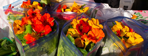 Muldoon Farmers Market Open Sept. 15, Chanshtnu Muldoon Park – I Love ...